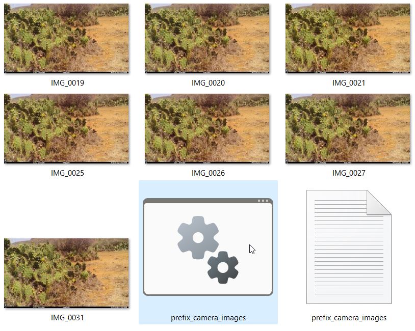 Processing Camera Trap Images Using Windows Batch Files Peter S Stewart